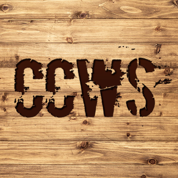 CCWS - Office Refit London - CCWS Interiors